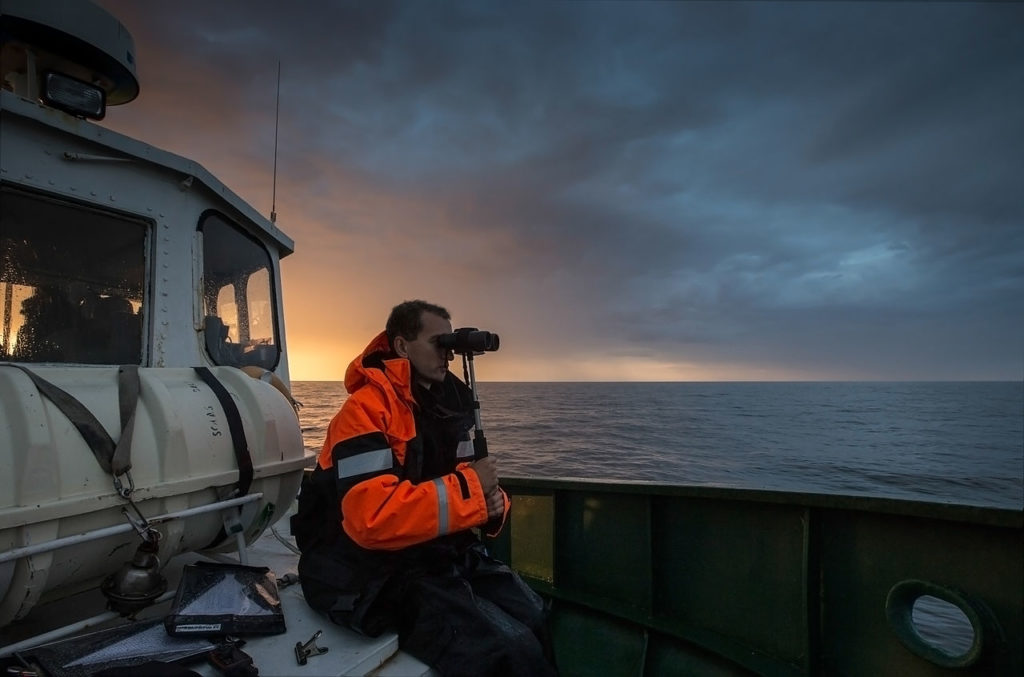 The Wikipedia photo contest around science – Wiki Science Competition