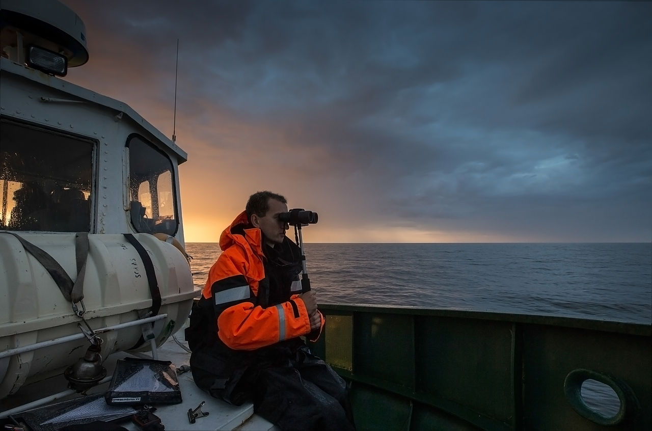 The Wikipedia photo contest around science – Wiki Science Competition