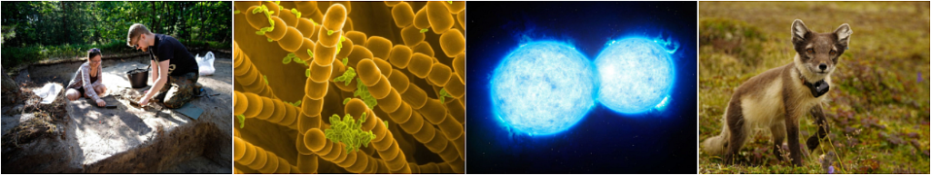 The Wikipedia photo contest around science – Wiki Science Competition